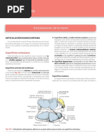 Articulación Radiocarpiana | PDF | Articulación | Extremidades (anatomía)