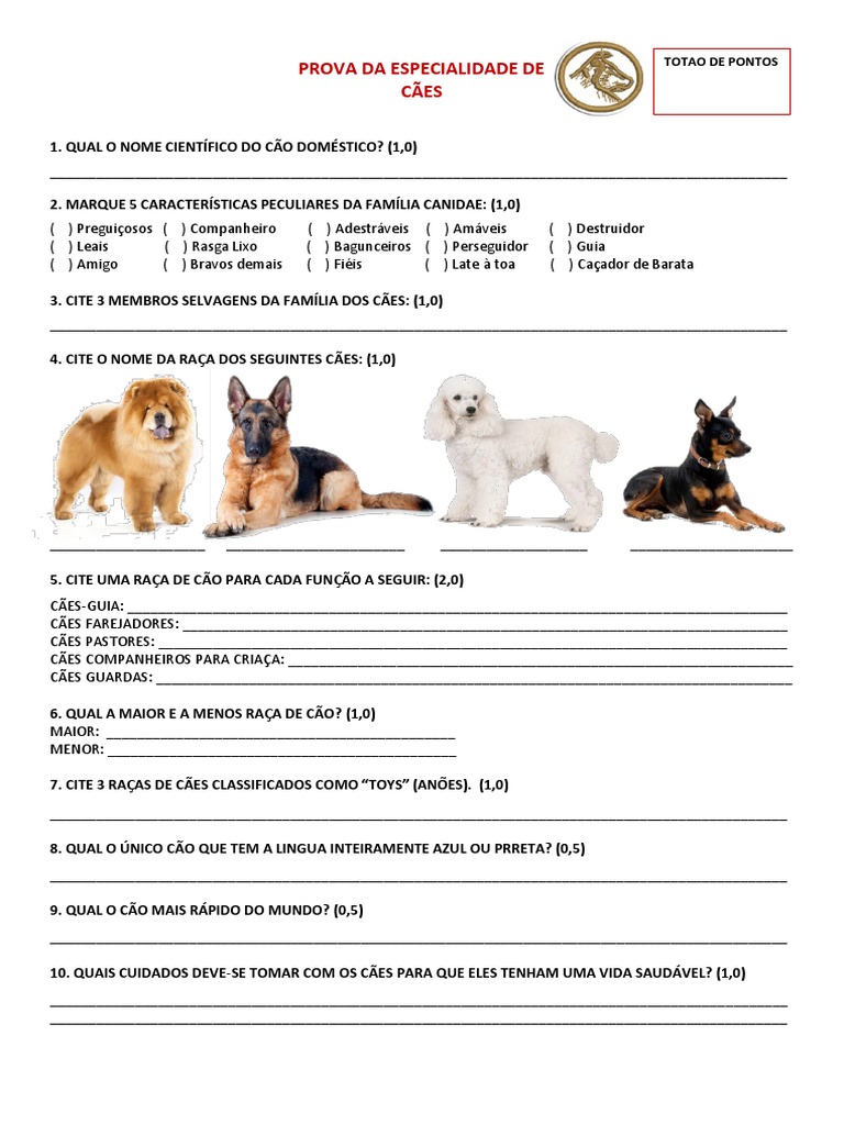 Prova Da Especialidade de Cães | PDF
