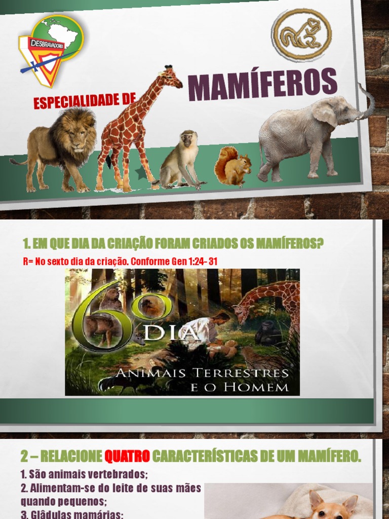 MAMÍFEROS | PDF