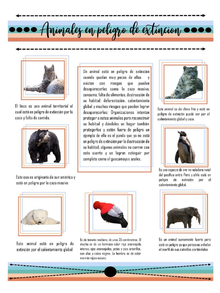 Infografía Sobre Animales en Peligro de Extinción Anexos | PDF