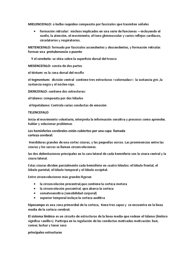 Mi Elen Cefalo | PDF