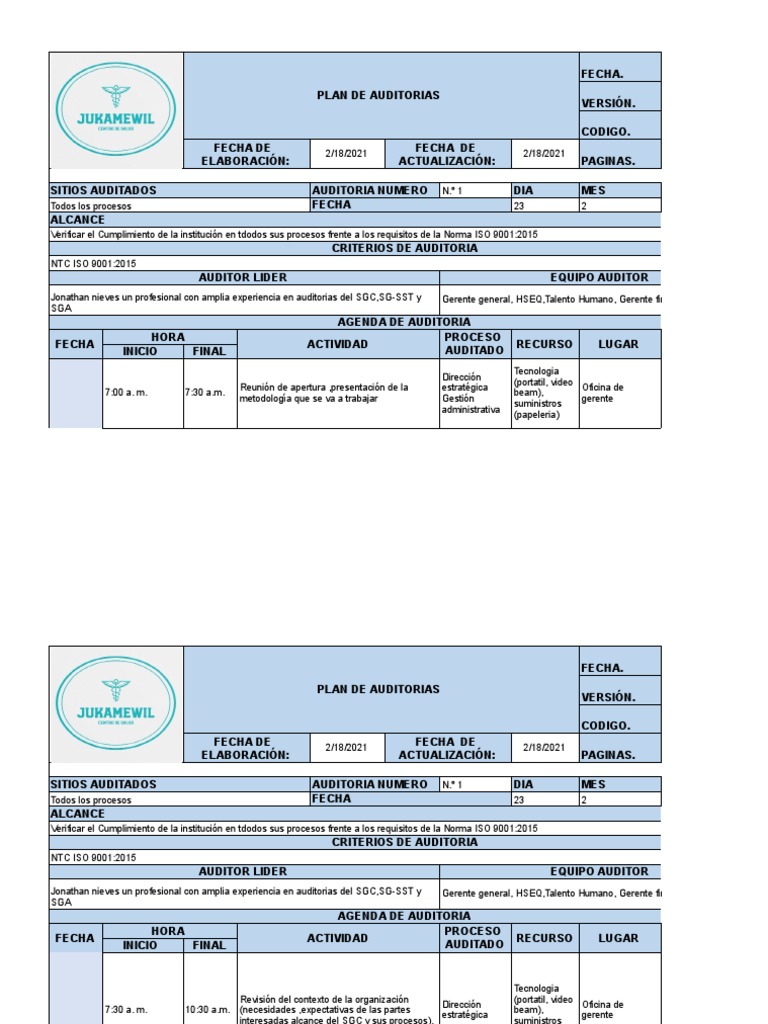 PLAN DE AUDITORIA ISO 000..xlsx - ISO 9001 | PDF | Auditoría | Ciencia ...