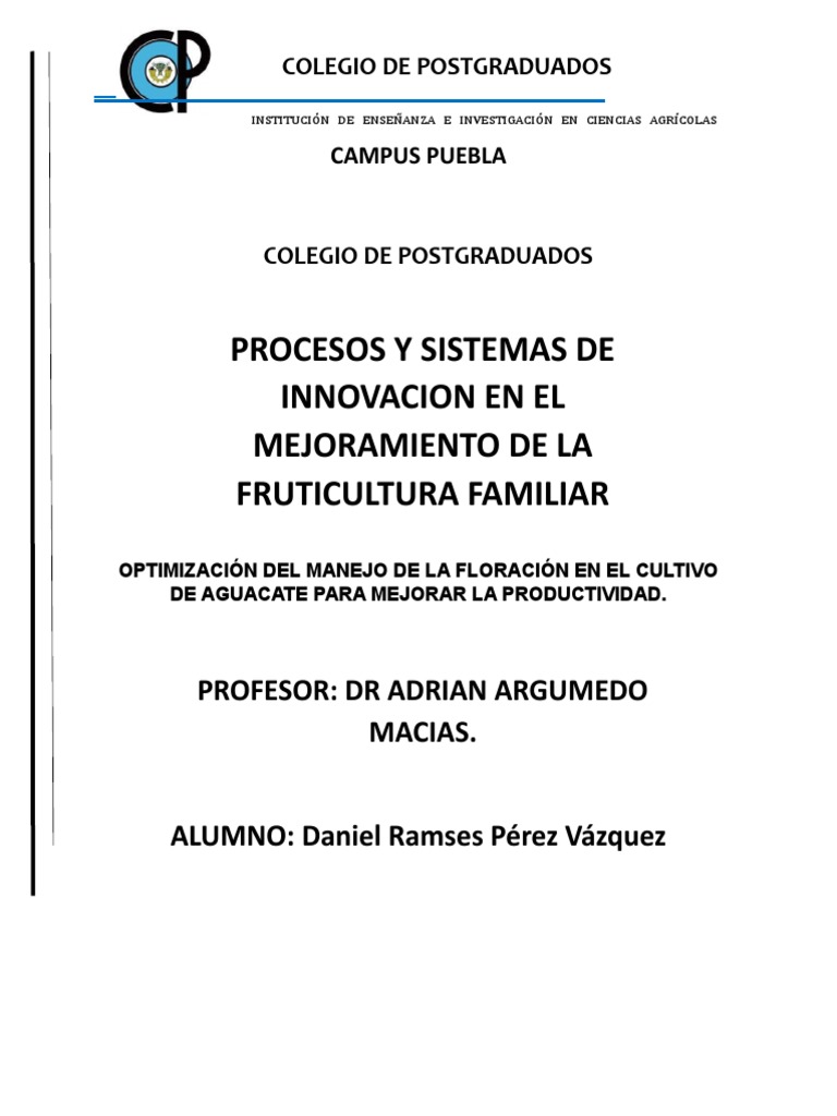 Trabajo Final DR Argumedo | PDF