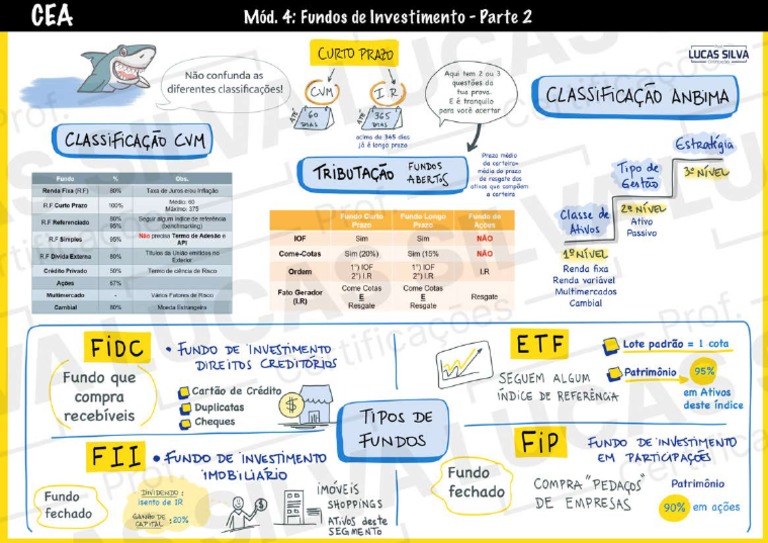 Cea Mapa Mental Modulo 4 2 | PDF