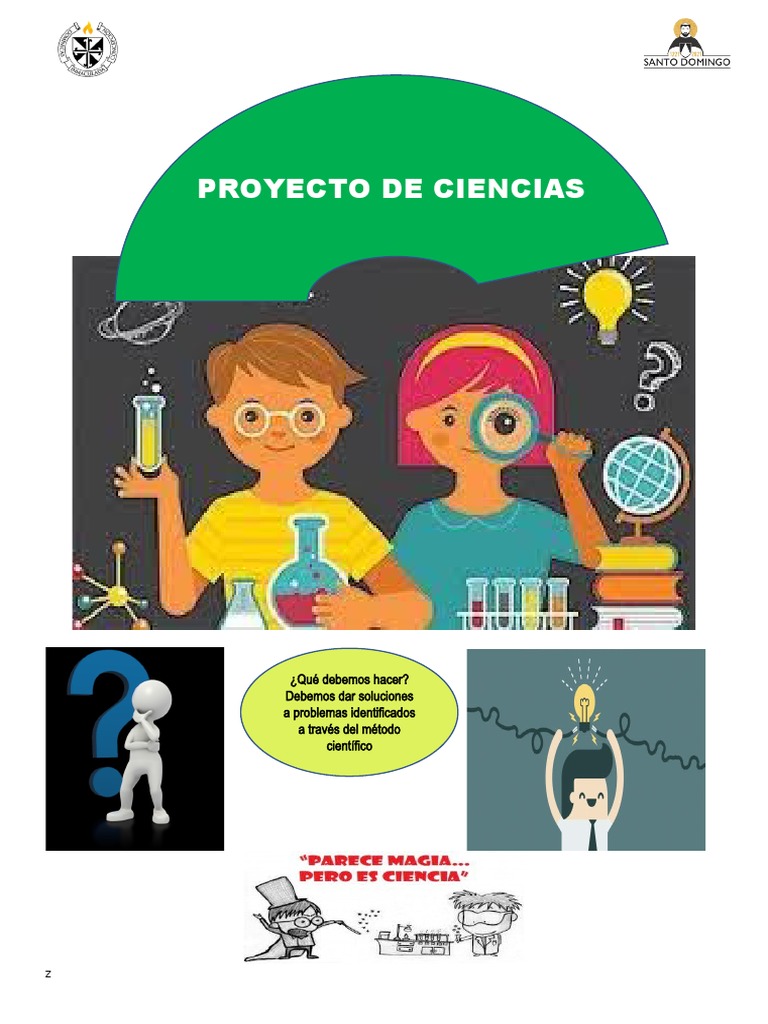 Esquema para El Proyecto de Ciencias para Nivel Primario | PDF