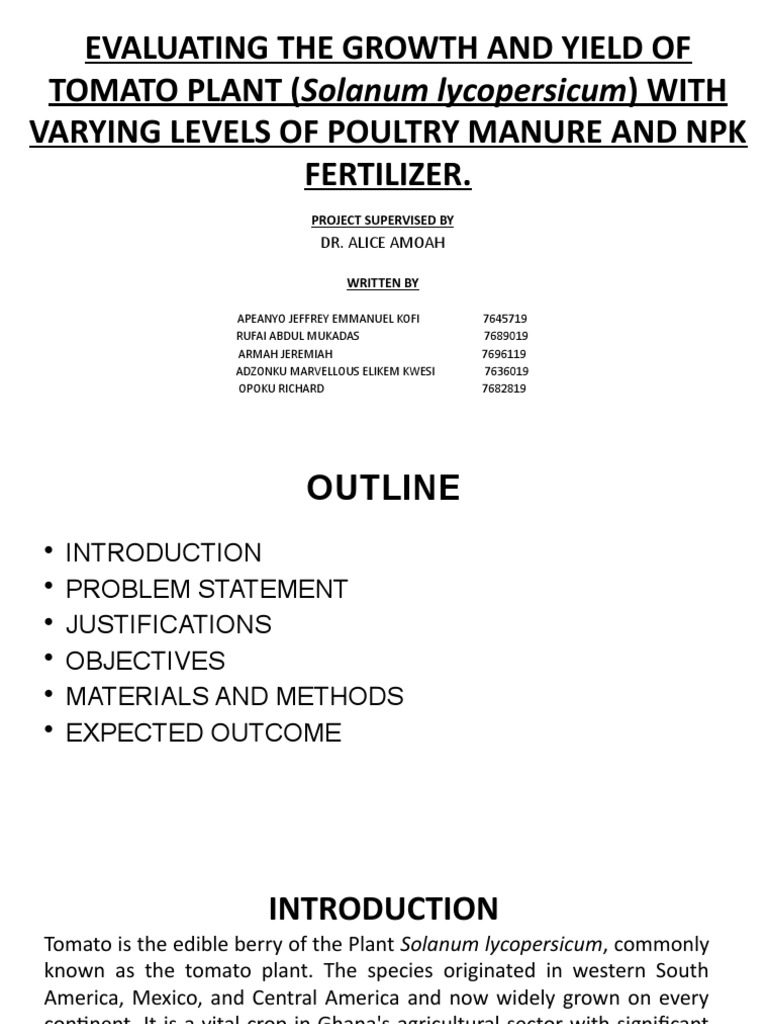 Evaluating The Growth and Yield of Tomato Plant | PDF | Tomato | Fertilizer