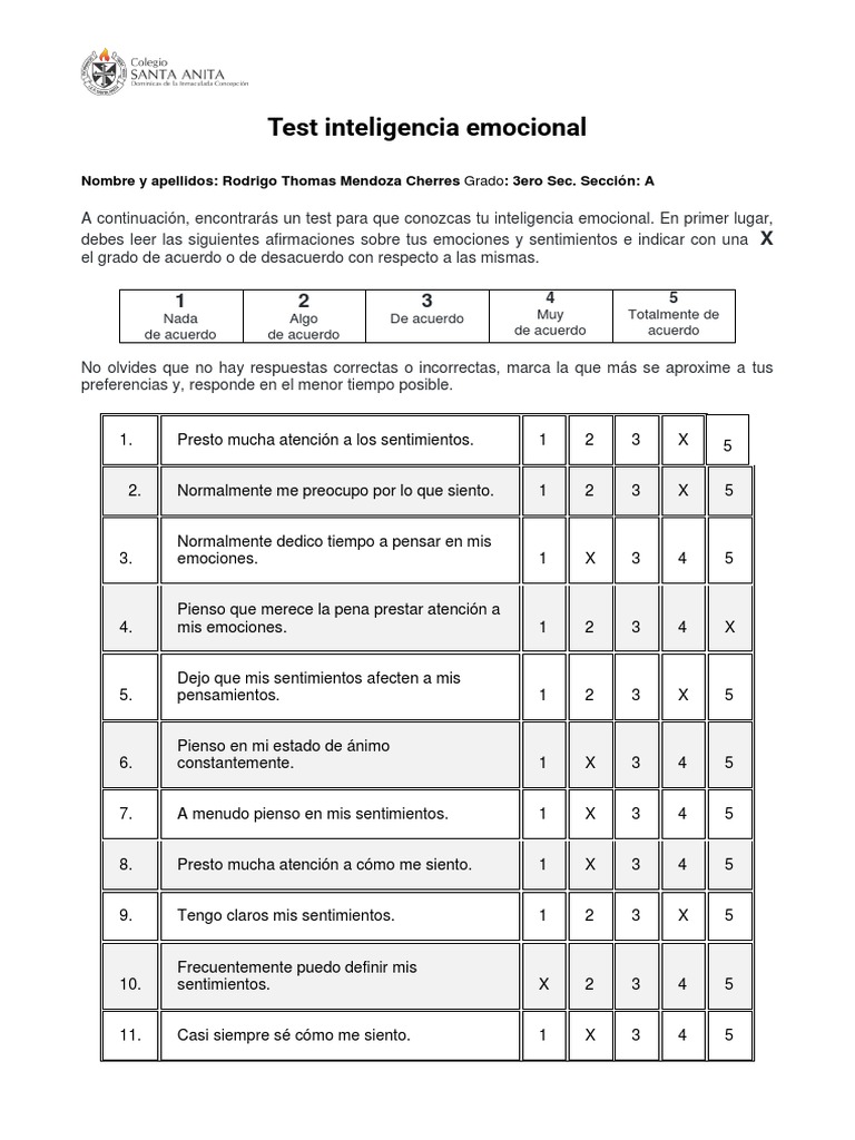 PROTOCOLO Test Inteligencia Emocional Colegio Santa Anita 2023 ...