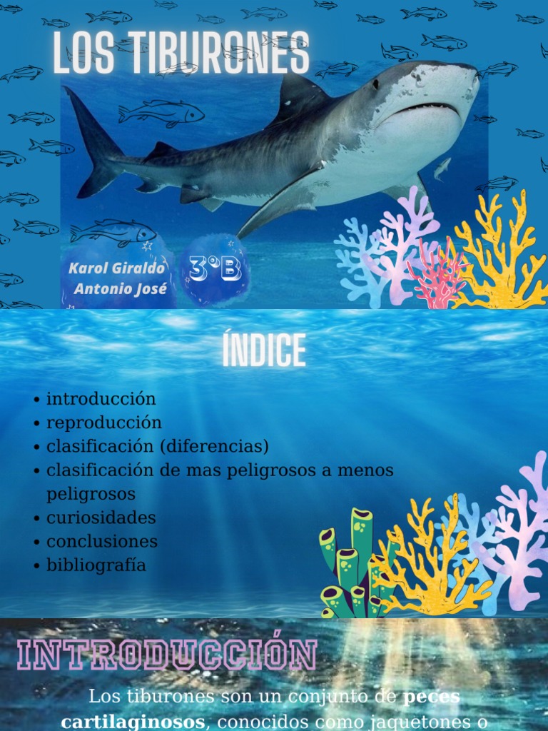Los Tiburones | PDF