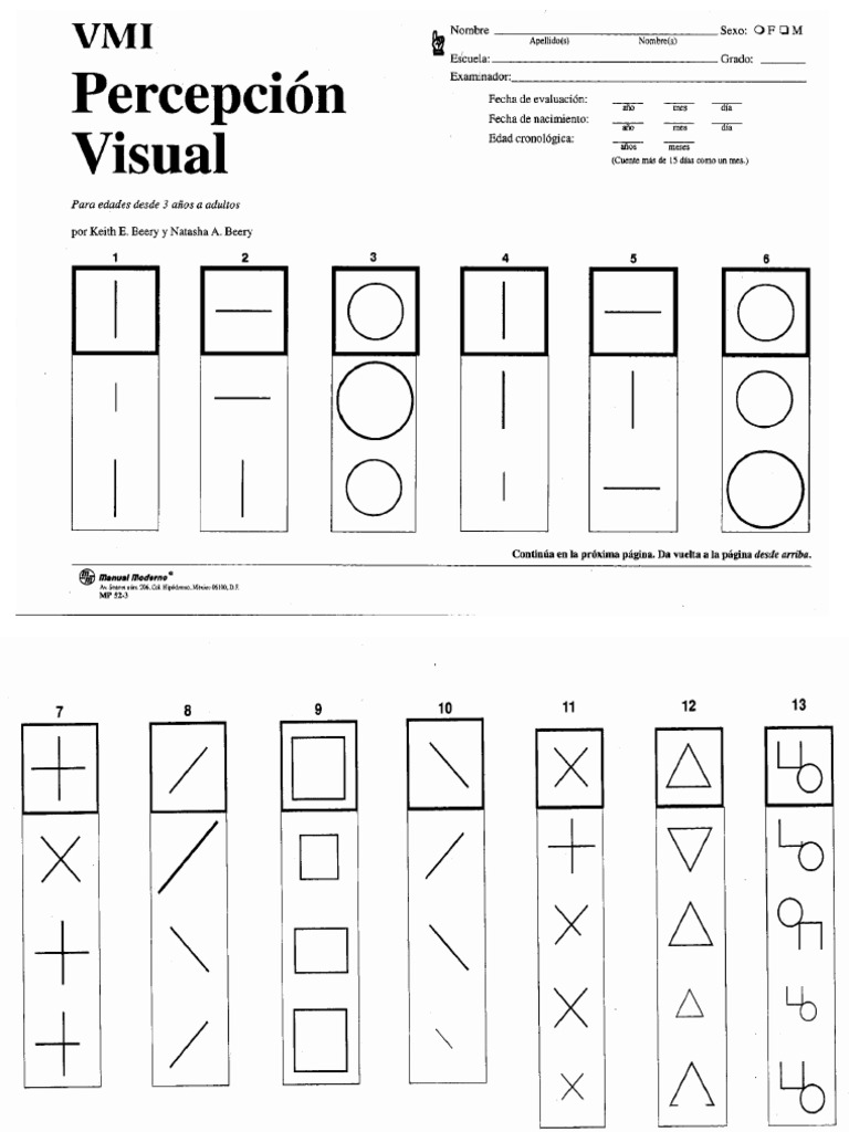 VMI Percepcion Visual | PDF