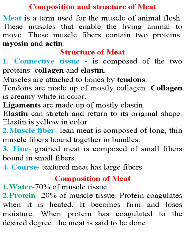Composition and Structure of Meat | PDF