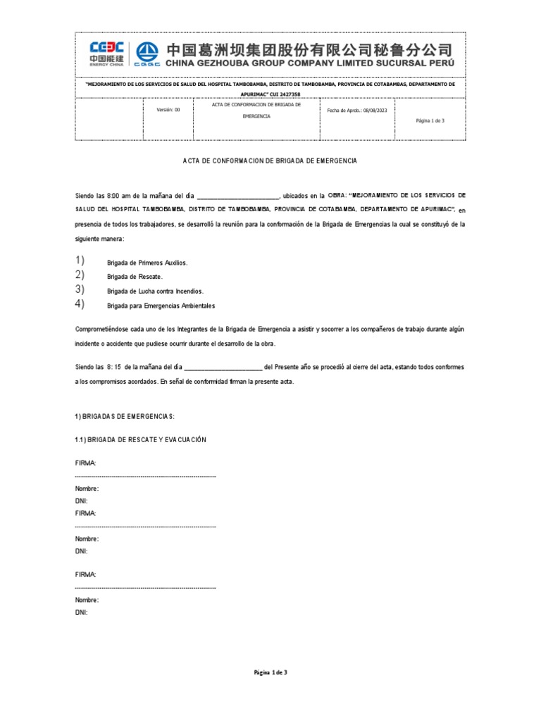 Acta de Conformacion de Brigada de Emergencia - Hospital | PDF Acta de Conformacion de Brigada de Emergencia - Hospital | PDF
