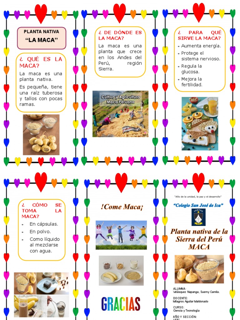 Beneficios y Uso de la Maca | PDF