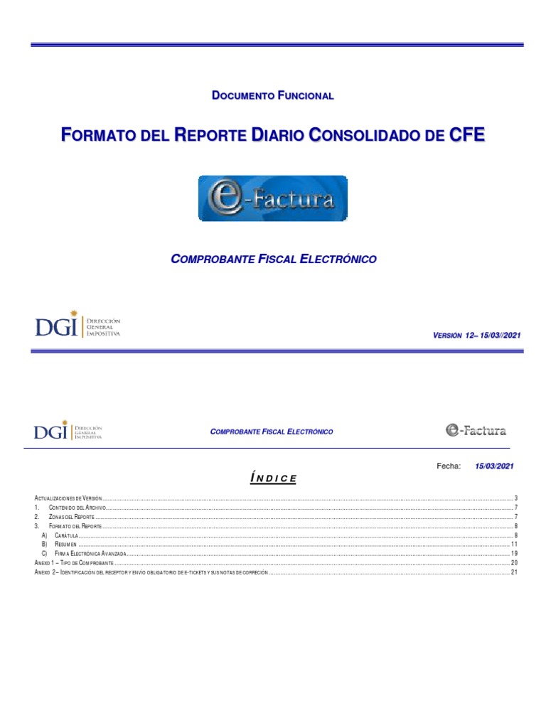 Formato Reporte CFE v12 | PDF