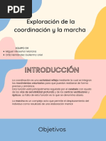 Marcha en Tándem | PDF