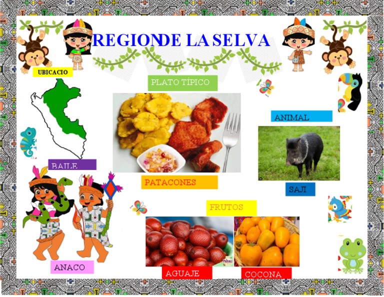 Region Selva Dibujos Etc | PDF