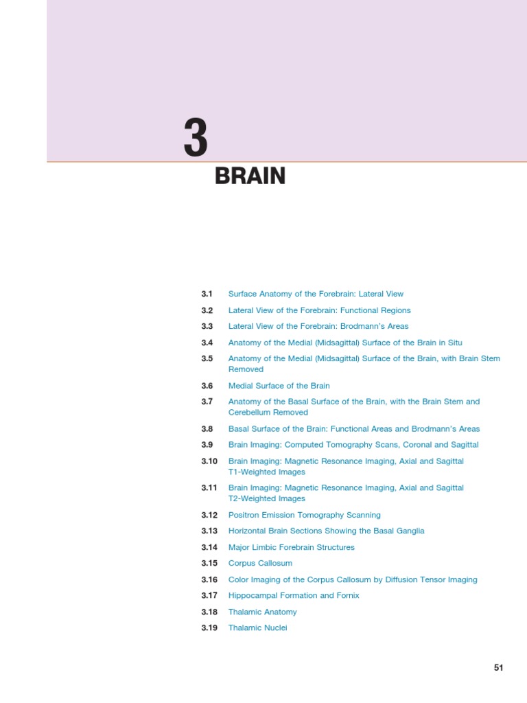3 Brain 2016 Netter s Atlas of Neuroscience | PDF