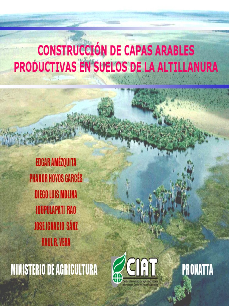 D Molina | PDF | Suelo | Ciencias de la Tierra