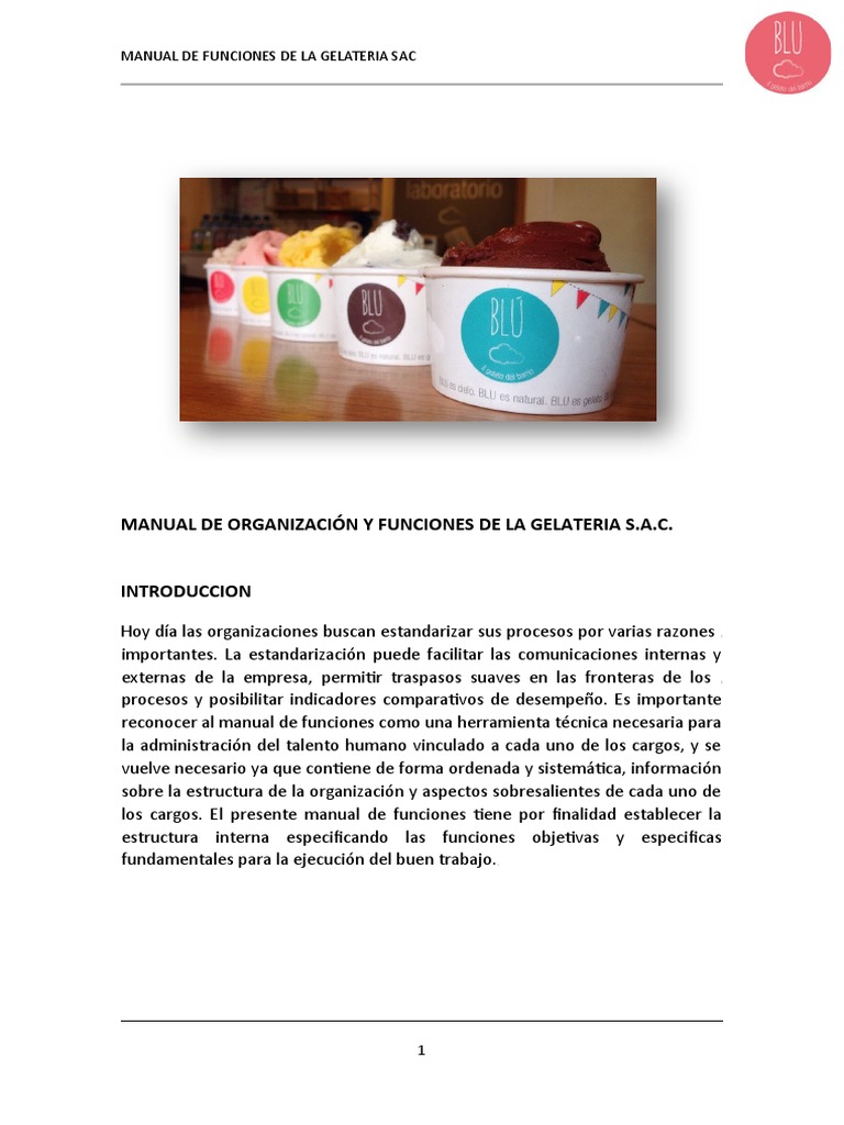 Manual de Funciones de La Gelateria Sac-2 | PDF