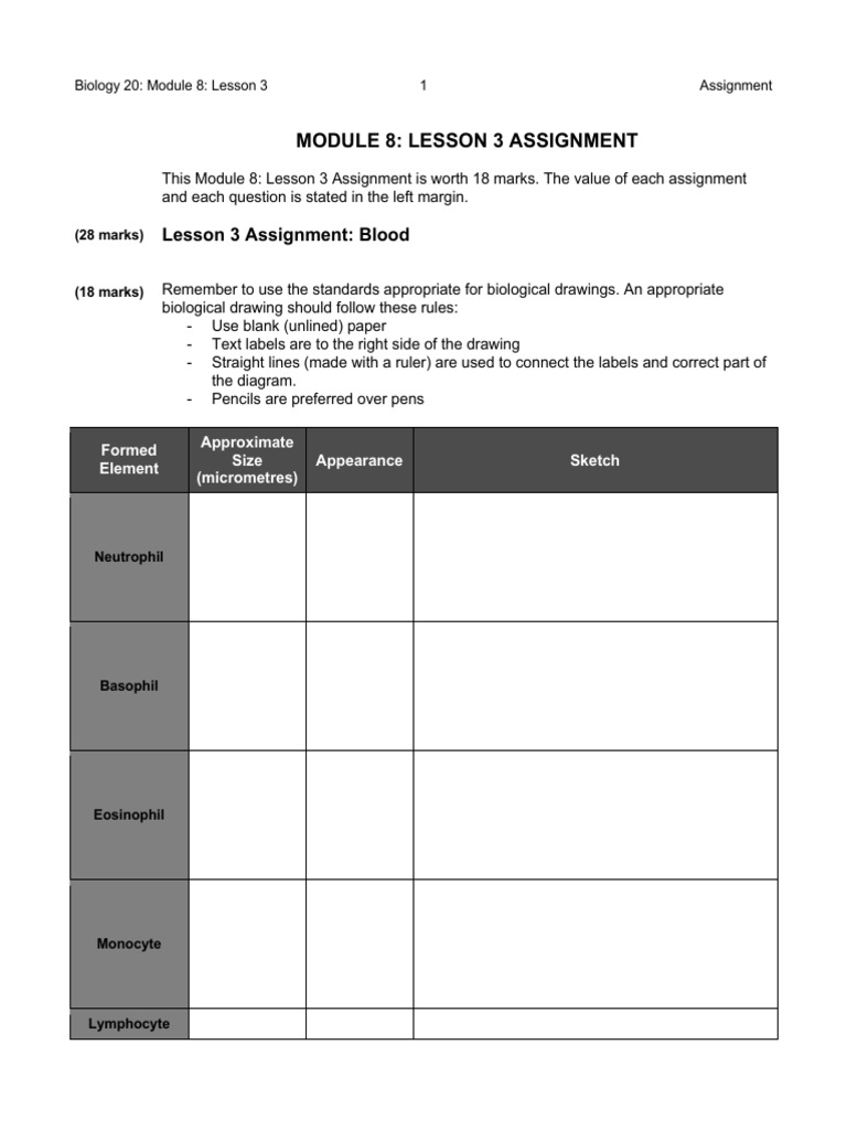 2022 b20_m8_l03_assignment.new | PDF