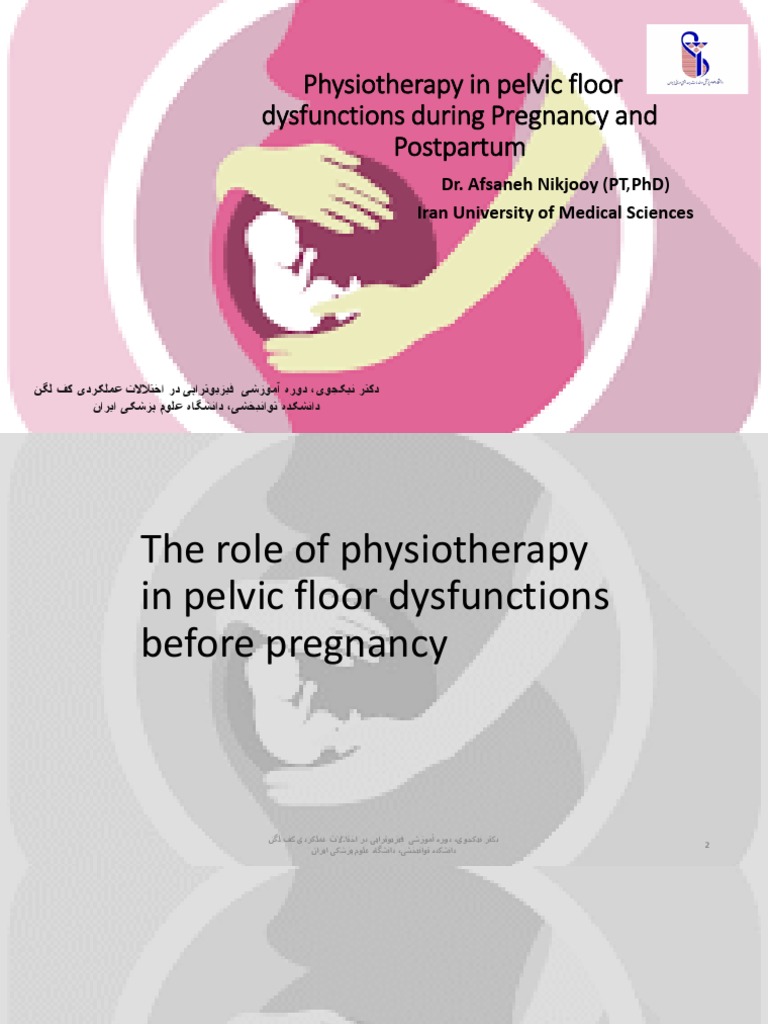 Physiotherapy During Pregnancy and Postpartum | PDF
