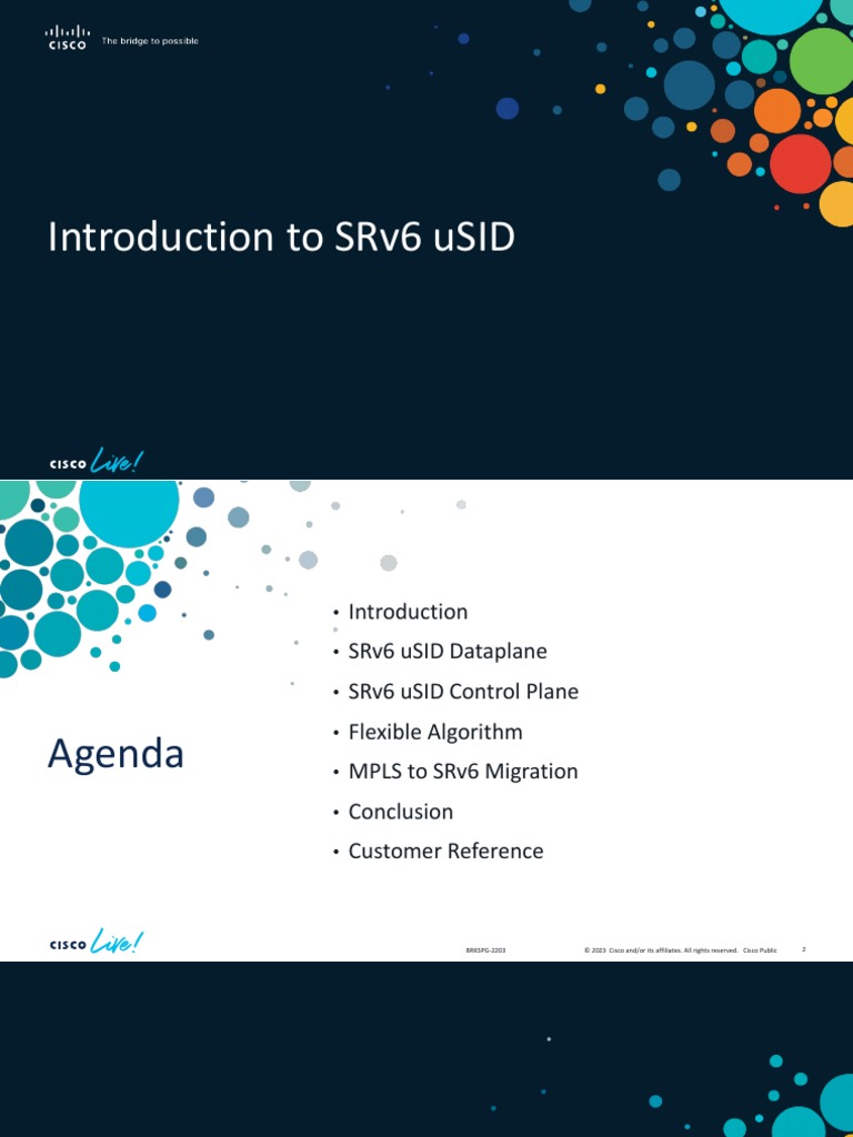 Introduction To SRv6 USID Technology | PDF