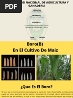 Ultrasol® Micro Boro: Ficha Técnica | PDF