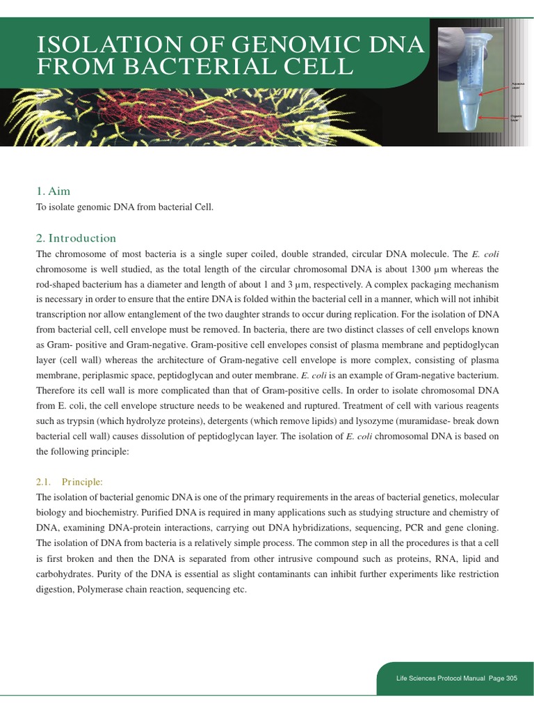 Isolation of Genomic Dna Practical Protocols | PDF