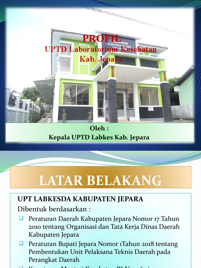 Profil Labkesda 2018 Rev | PDF