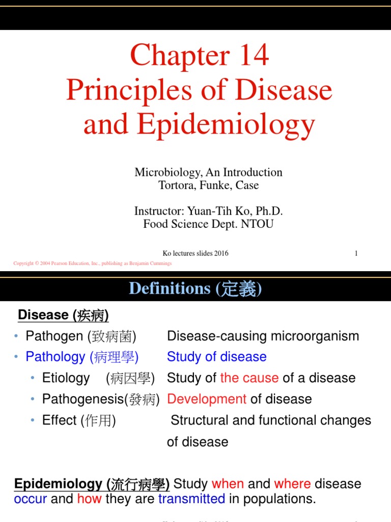 Tortora Ch14 2016-YTKo Lecture | PDF