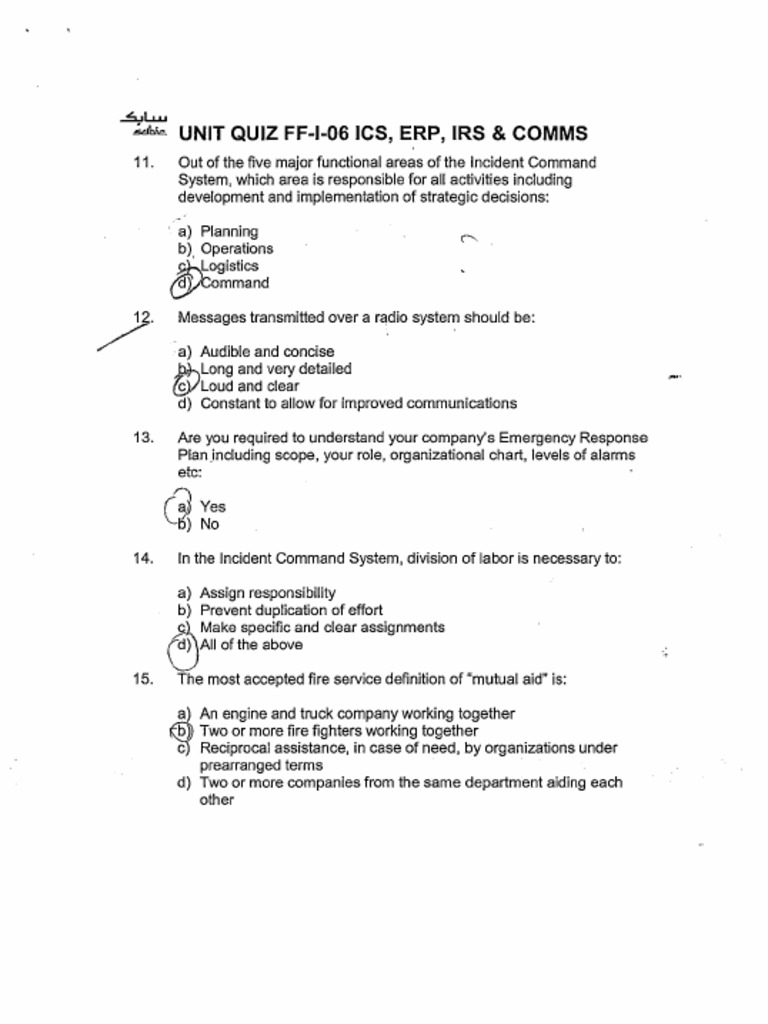 ICS ERP IRS & COMMS - Quiz | PDF