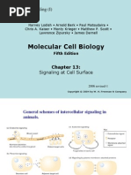 Class 11 Cell Structure Notes | PDF | Cell Biology | Anatomy