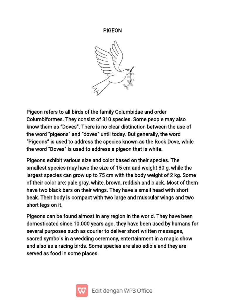 Overview of Pigeon Species and Traits | PDF