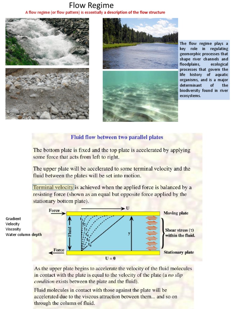 Flow Regimes and Sediment Dynamics | PDF