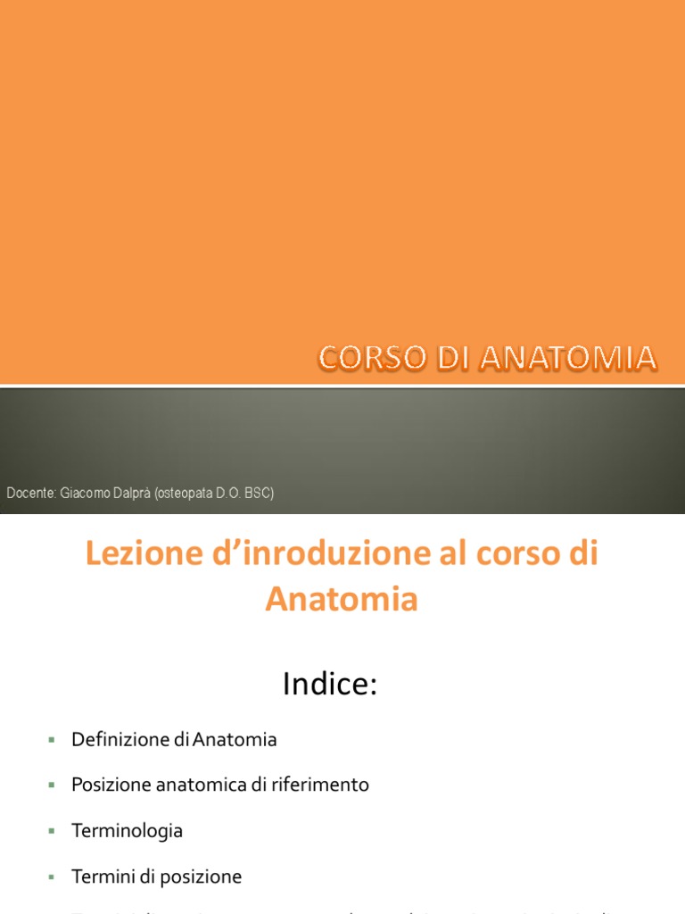 Anatomia Modulo 1 Pdf