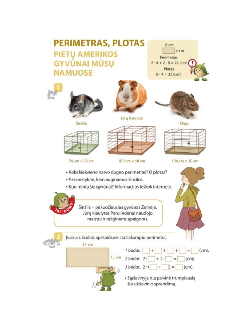 Plotas, Perimetras | PDF