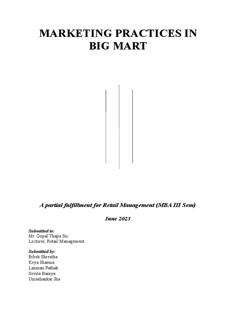 Big Mart's Marketing Strategies in Nepal | PDF | Business