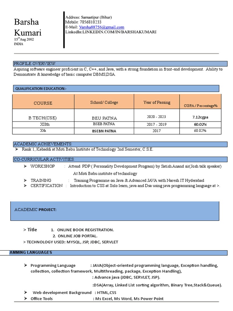Aspiring Software Engineer Profile | PDF