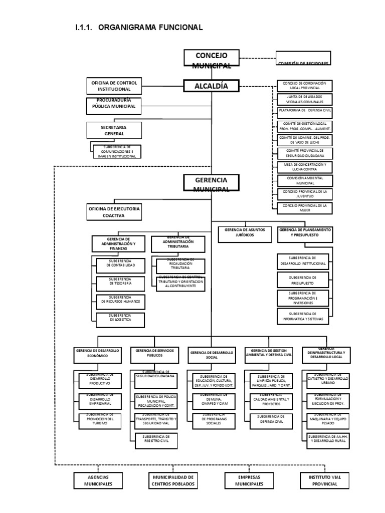 Organigrama Funcional | PDF