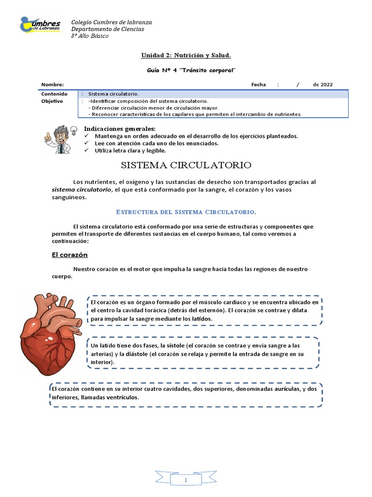 Guía de Nutrición: Sistema Circulatorio | PDF | Ciencia y matemáticas