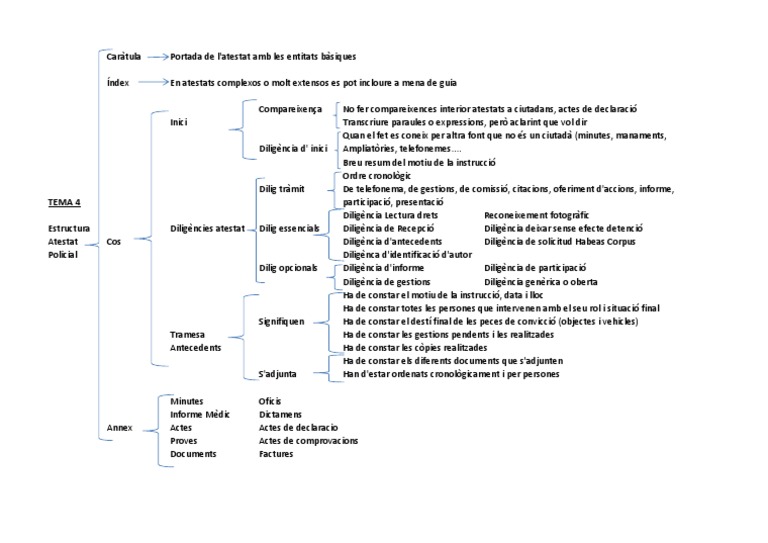Esquema Estructura Atestat | PDF