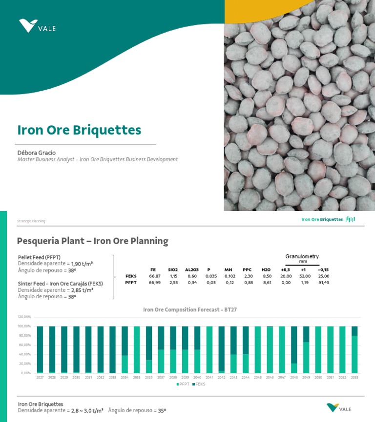 Vale's Green Briquettes - Iron Ore - Pesqueria A | PDF