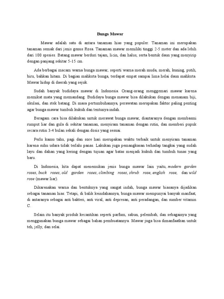 Budidaya dan Manfaat Bunga Mawar | PDF | Griya & Taman