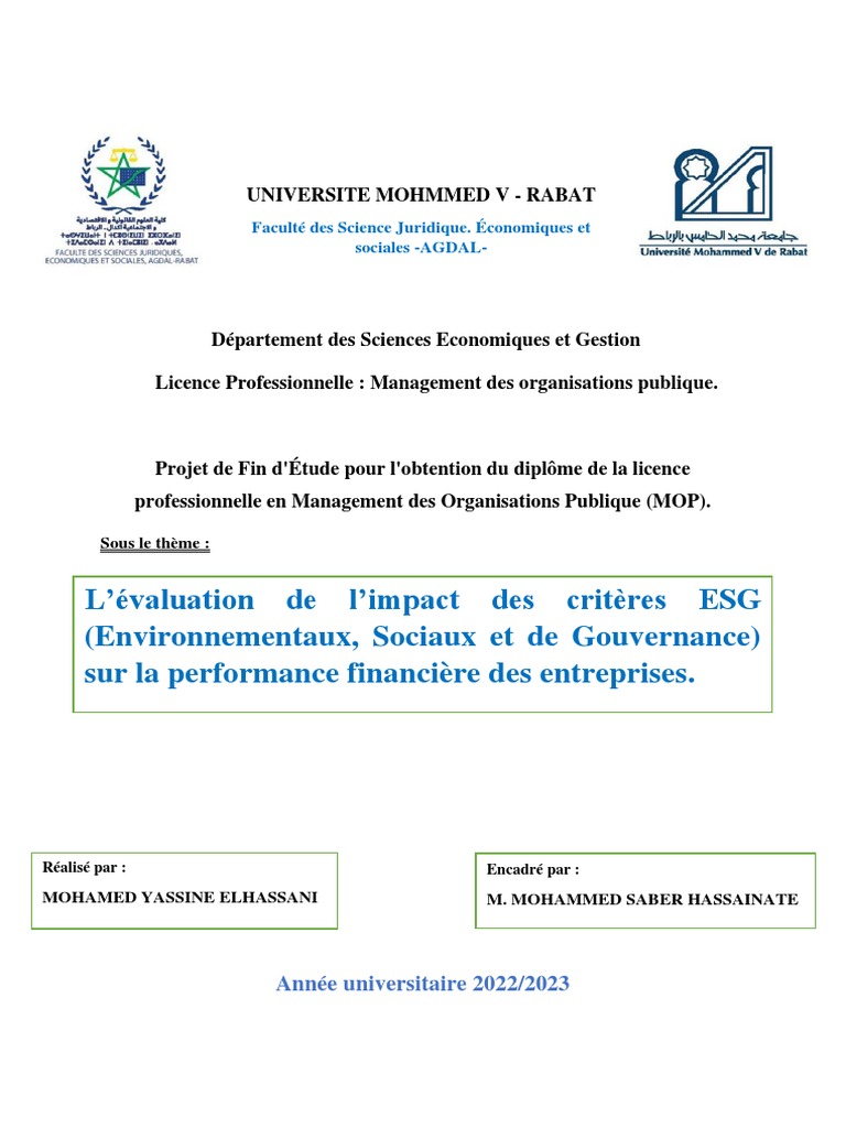 L'Évaluation de L'impact Des Critères ESG Sur La Performance Financiere Des Entreprises Y | PDF
