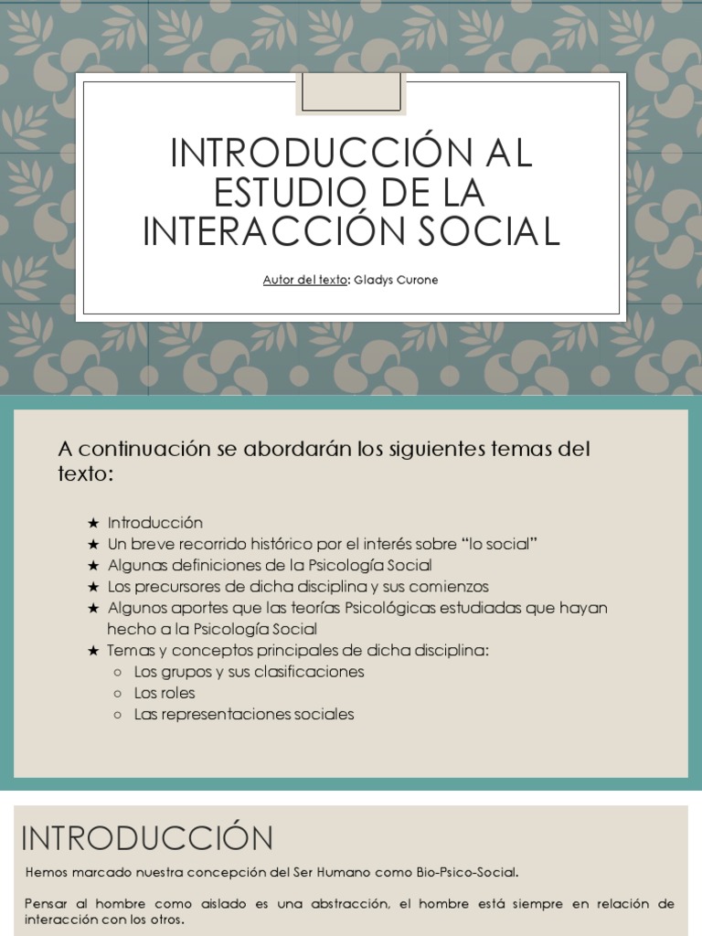 Definición de Interacción Social | PDF