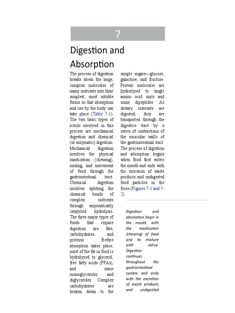 Chapter 7 Digestion and Absorption 2011 Canine and Feline Nutrition THIRD EDITION | PDF ...