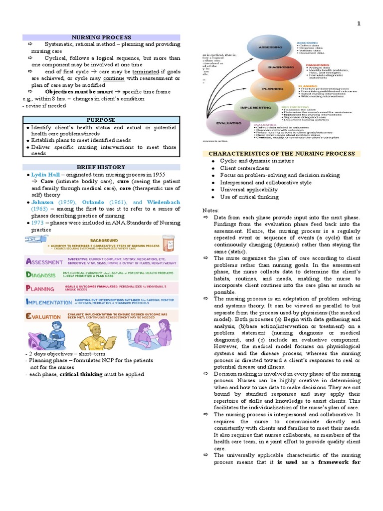 Nursing Process | PDF