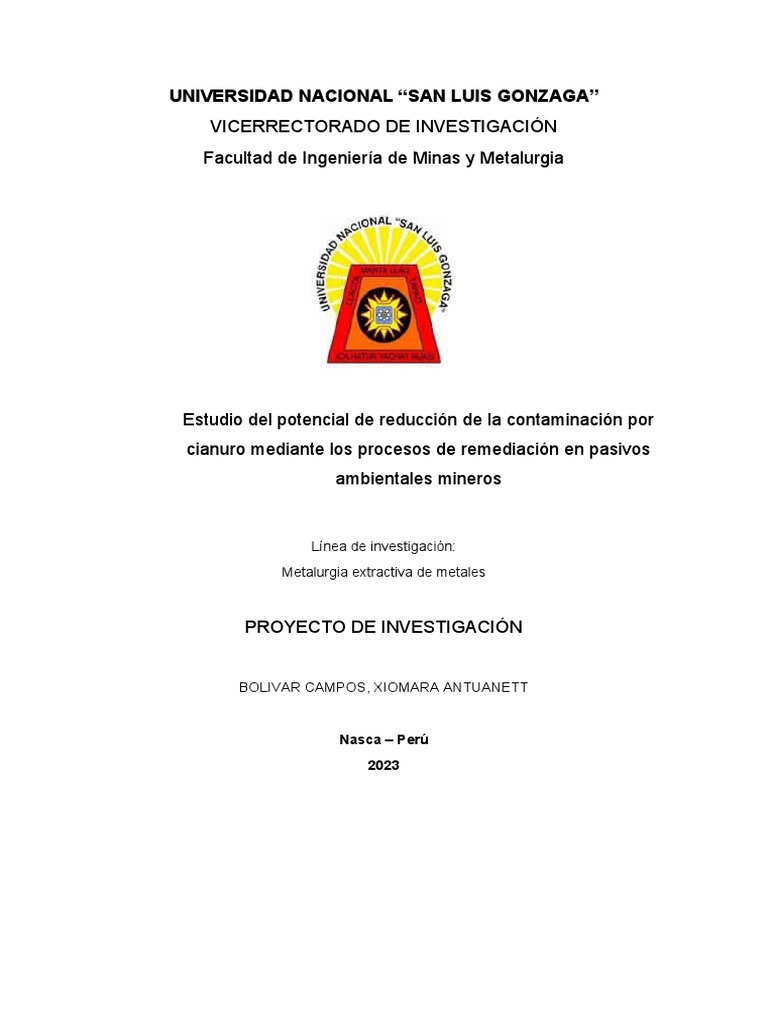 Avance de Proyecto IV | PDF