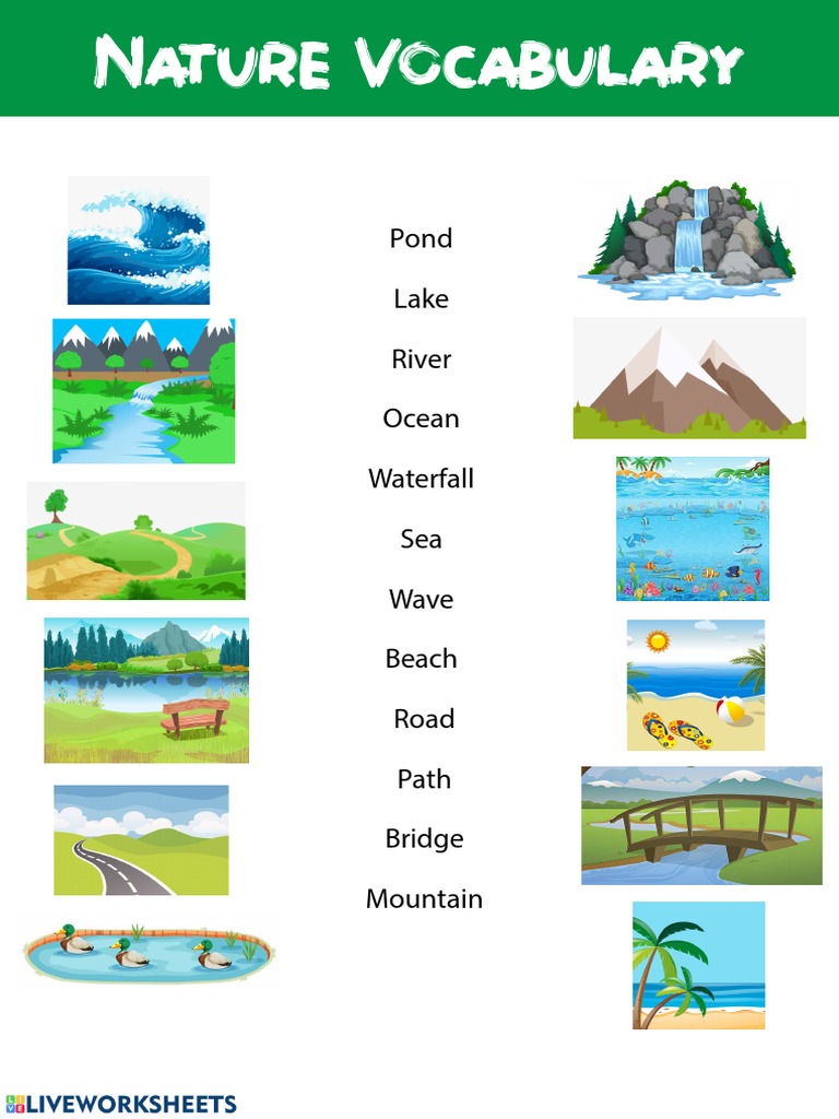 Nature Vocabulary | PDF