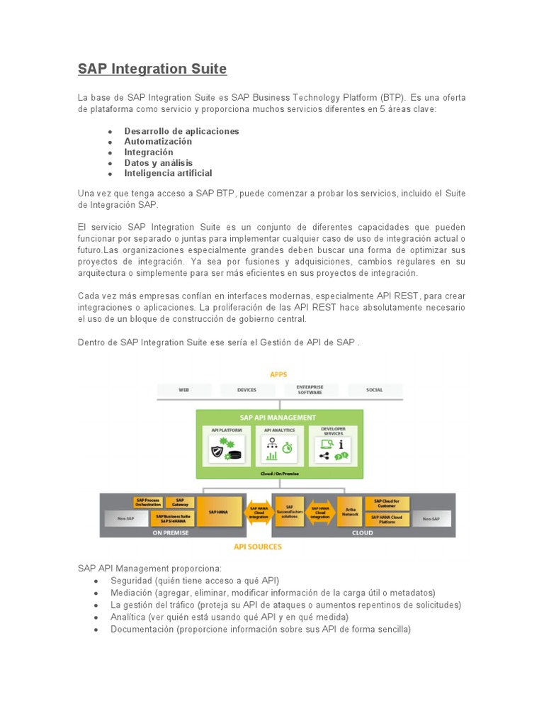 Guía de SAP Integration Suite | PDF | Tecnología