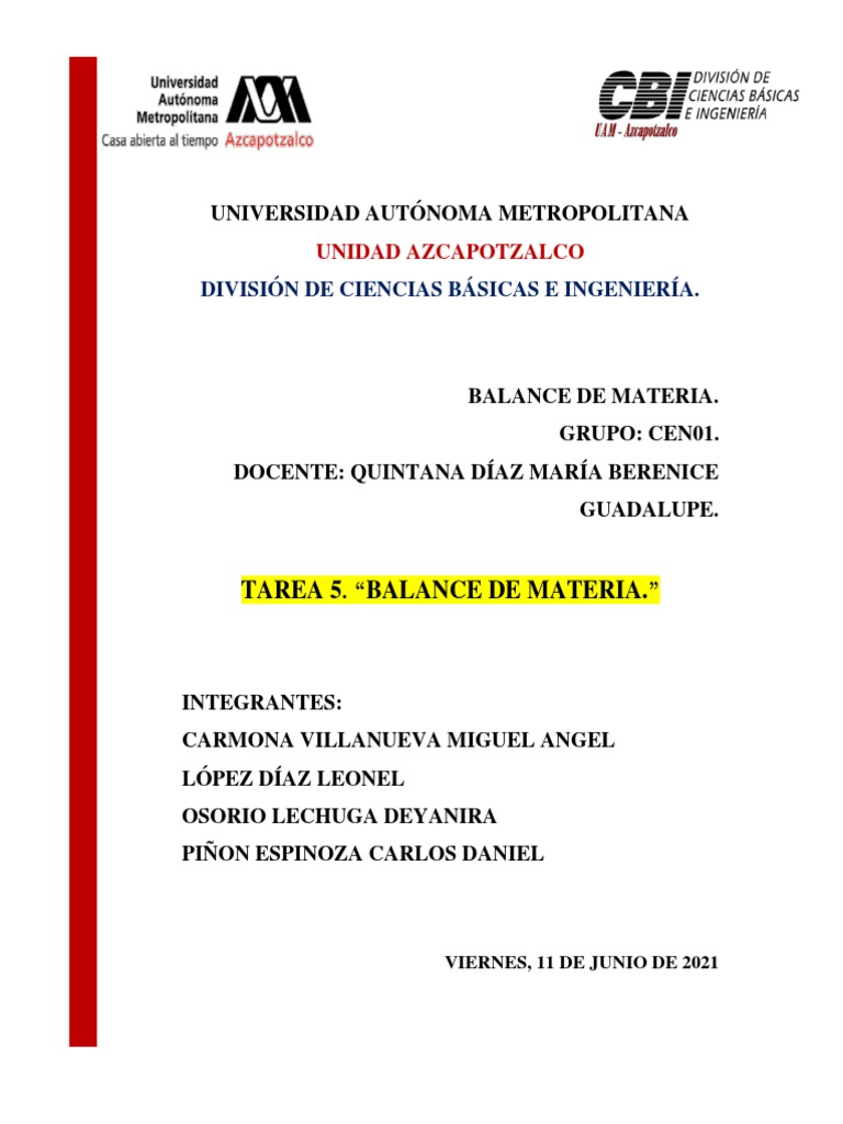 Correccion Tarea v. BM PDF | PDF
